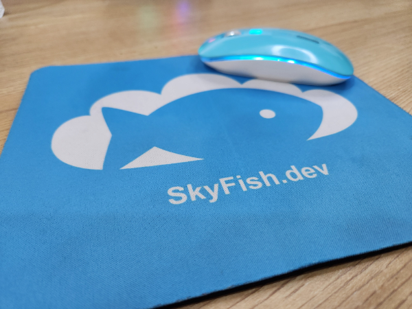 SkyFish Development
